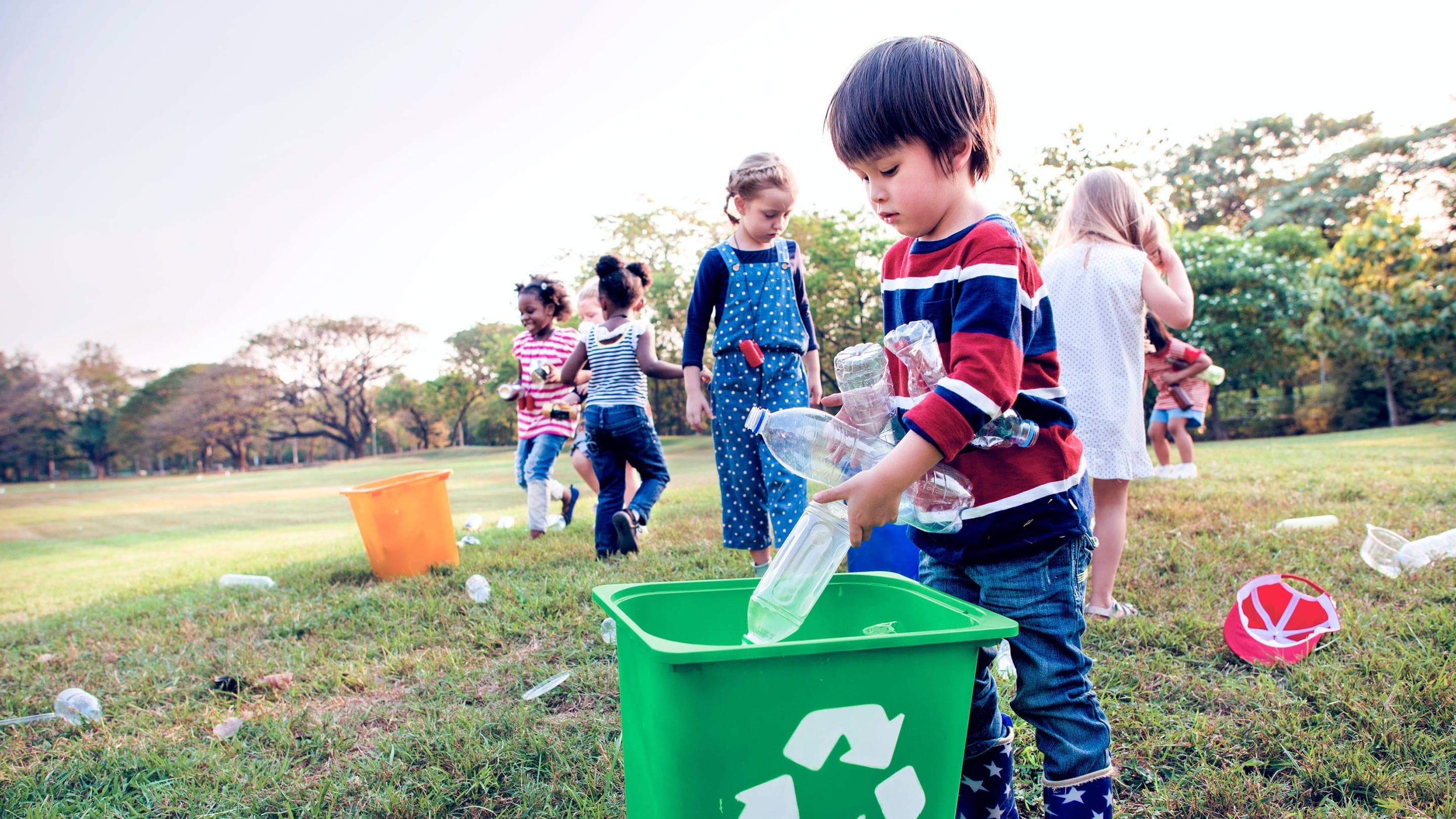 5 Ways to Keep America Beautiful | Impact Collective